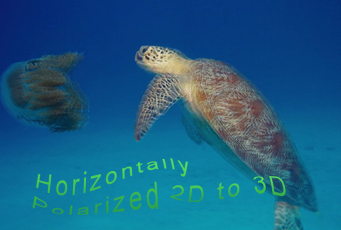 convert images to polarized 3D - fiverr